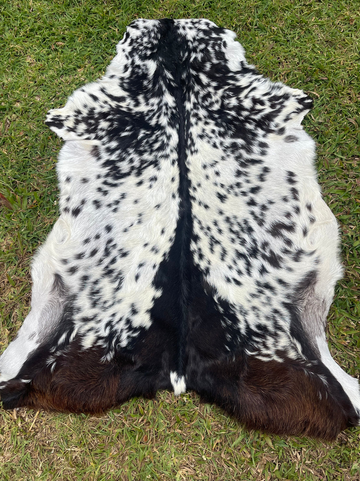 Goat Hides– Cowgirl Country